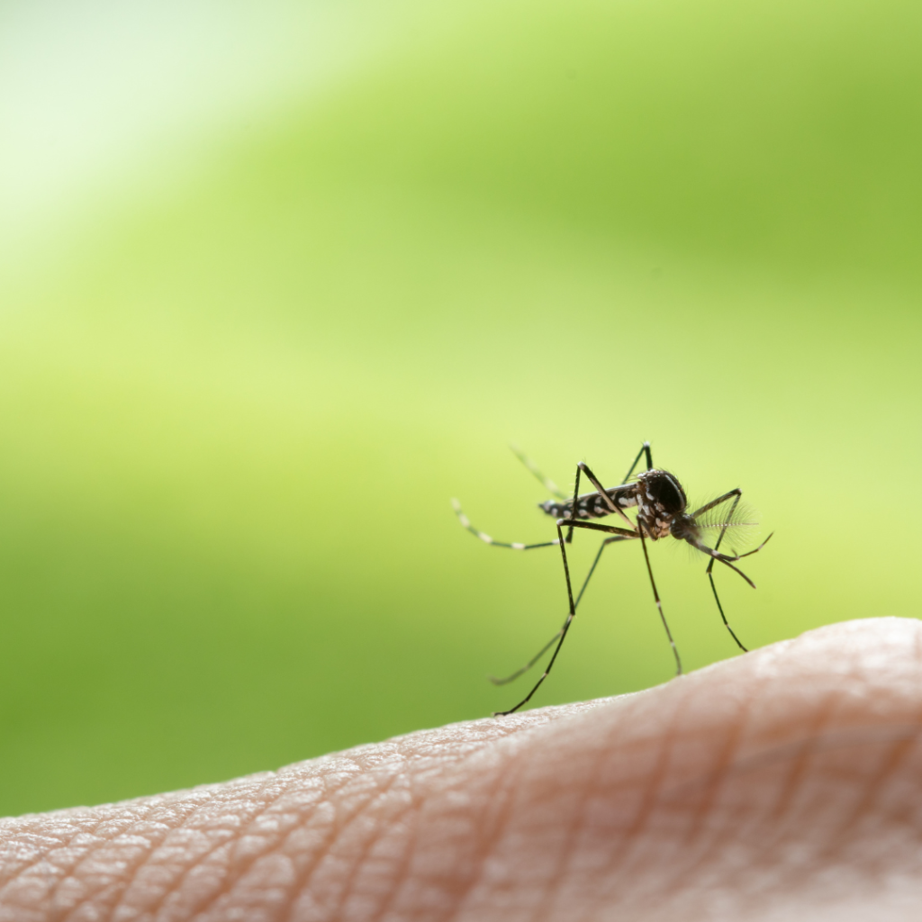 World Neglected Tropical Diseases Day - BHM Healthcare Solutions